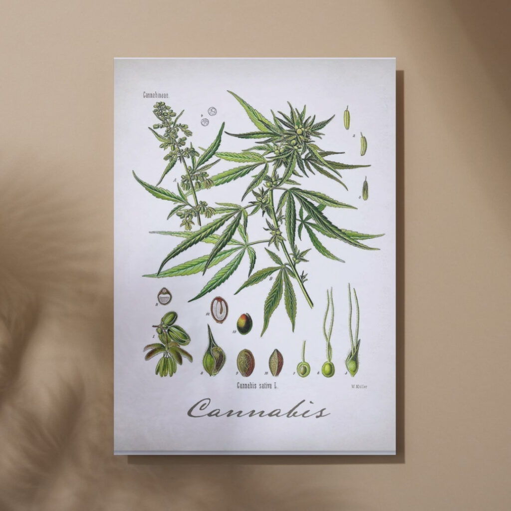 Guide to Cannabis Art | Dank Budz Marijauna Art | Weed Art