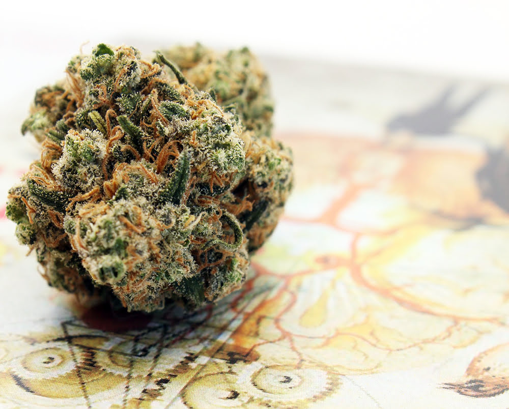 Sour Dubb Strain Review | Sour Dubb Strain Details Sour Dubb Strain Review | Sour Dubb Strain Details