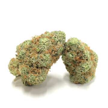 Cinderella 99 Strain Review | Cinderella 99 Strain Details