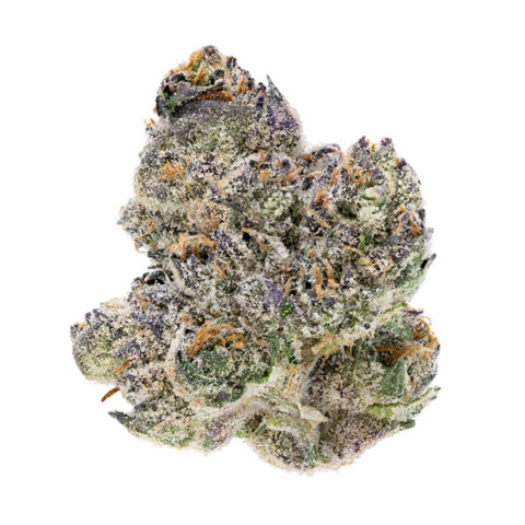 Exodus Cheese Strain Review | Exodus Cheese Strain Details