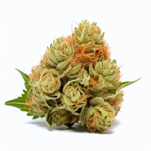Strawberry Cough Strain Review | Strawberry Cough Strain Details