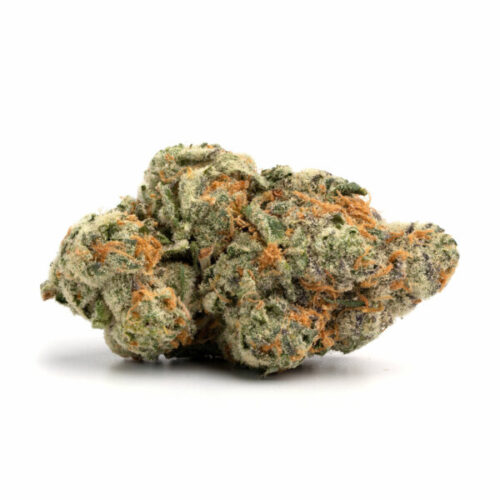 UK Cheese Strain Review | UK Cheese Strain Details