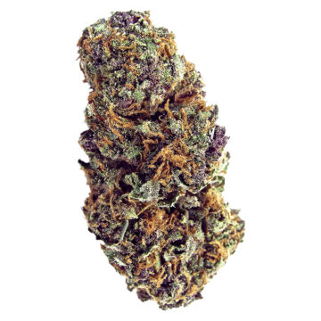 Forbidden Fruit Strain Review | Forbidden Fruit Strain Details