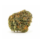 Gushers Strain Review | Gushers Strain Details