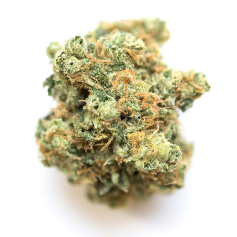 Jelly Roll Strain Review | Jelly Roll Strain Details