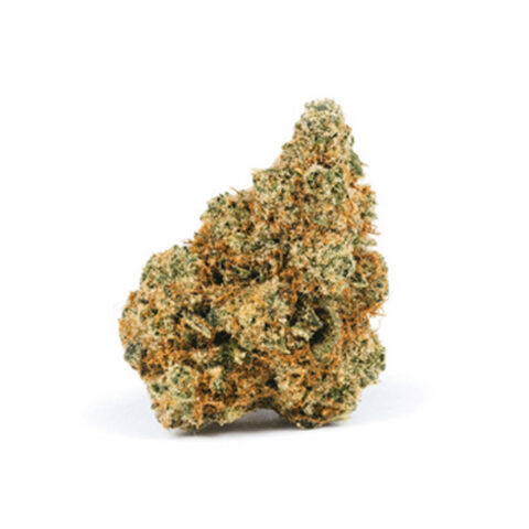 Lemon Tree Strain Review | Lemon Tree Strain Details