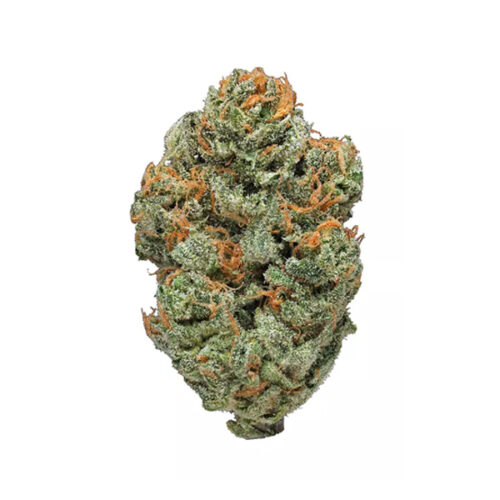 Space Queen Strain Review | Space Queen Strain Details