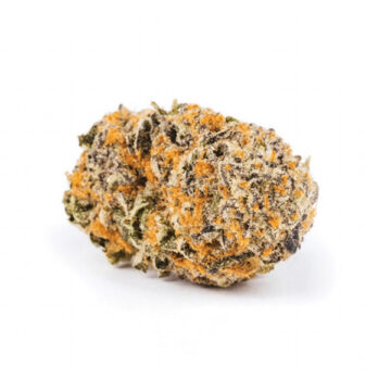 Sundae Driver Strain Review | Sundae Driver Strain Details