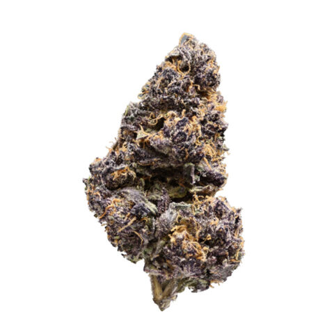 Modified Grapes Strain Review | Modified Grapes Strain Details