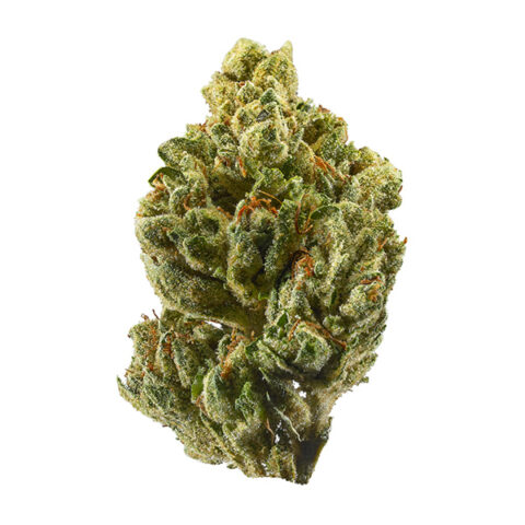 OG Kush Strain Review | OG Kush Strain Details