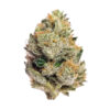 Obama Kush Strain Review | Obama Kush Strain Details