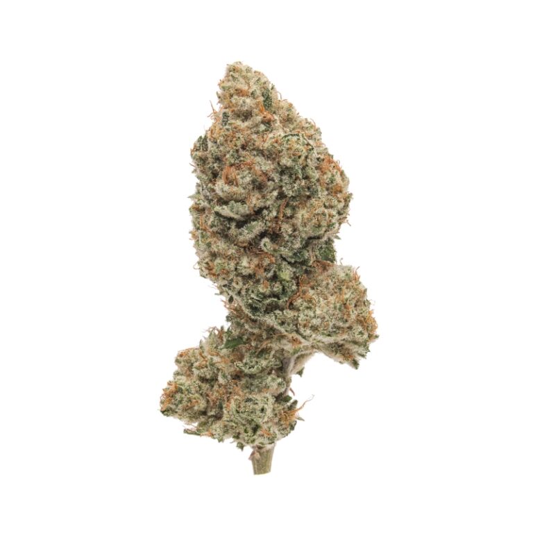 The White Strain Review | The White Strain Details