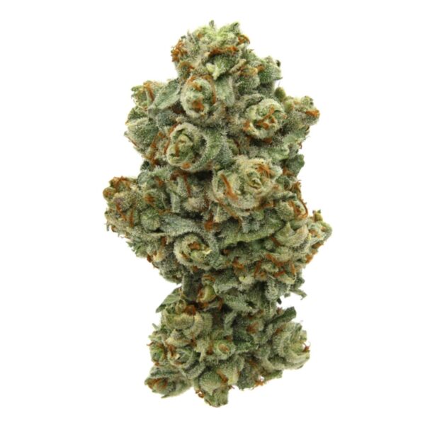 XJ-13 Strain Review | XJ-13 Strain Details