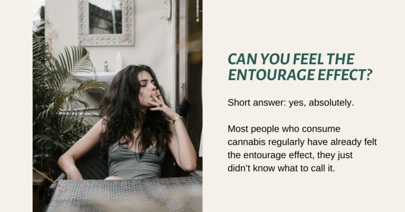 What Is the Entourage Effect? | Cannabinoids & Terpenes